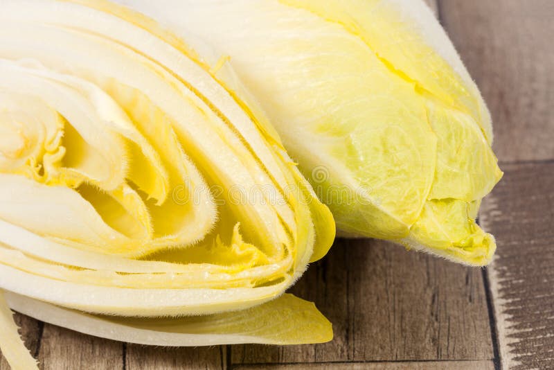 Endibia belga o endivia foto de archivo. Imagen de aislado - 6919546