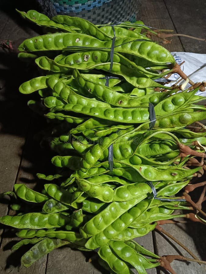 Verduras de peta foto de archivo. Imagen de cocinado - 311207230