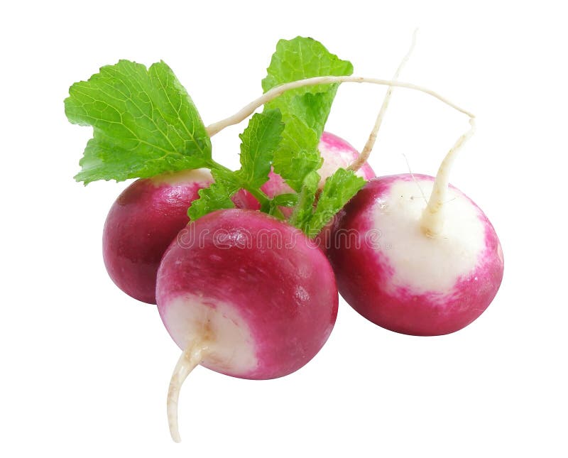 Ravanello fotografia stock. Immagine di ravanello, vitamine - 3537334
