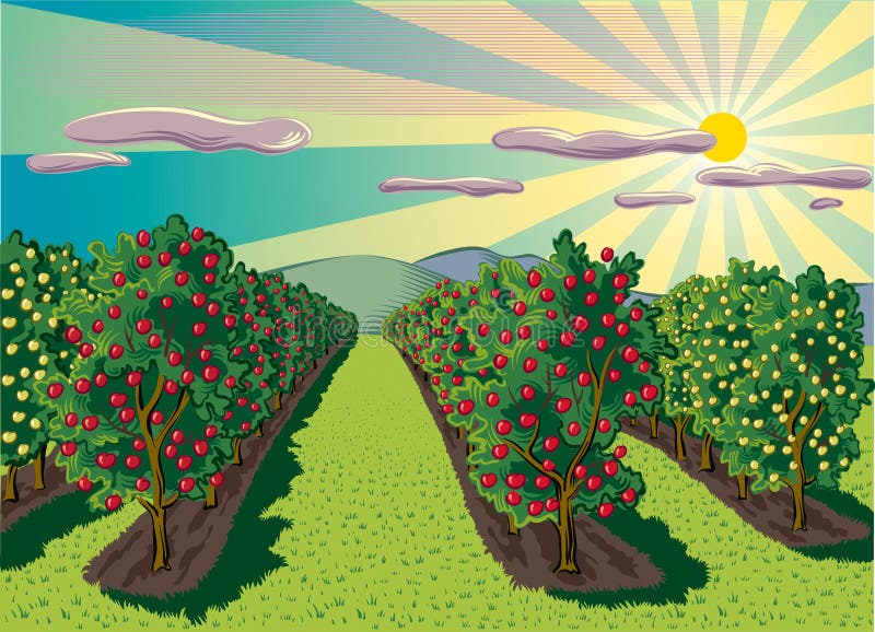 Arbres Fruitiers Stock Illustrations, Vecteurs, & Clipart – (6,230 ...
