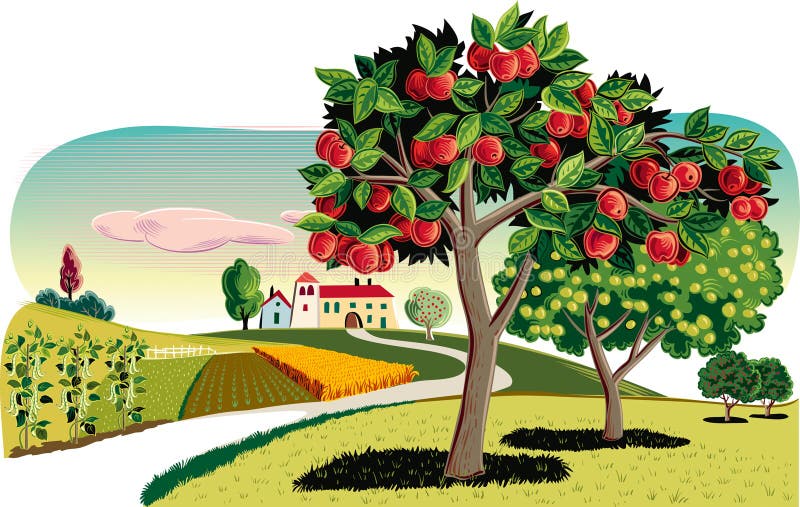 Verger Stock Illustrations, Vecteurs, & Clipart – (11,684 Stock ...