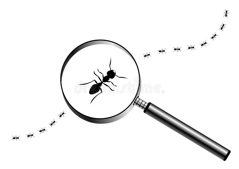 Vergrootglas Met Marcherende Mieren Vector Illustratie - Illustration ...
