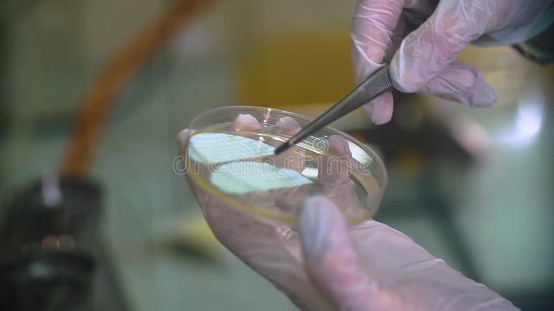 Verification of Control Samples of Products in the Laboratory Stock ...