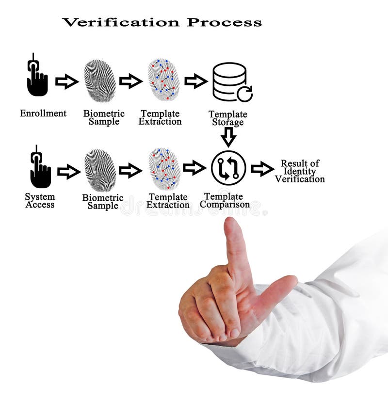 Verification process stock image. Image of pointing, sample - 84304283