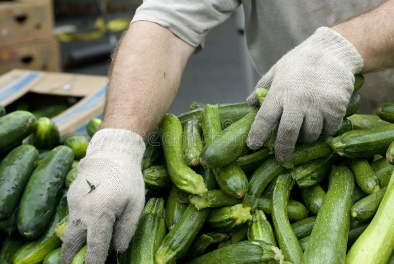 A Veritable Vegetable Pyramid Stock Image - Image of summer, green: 5874953