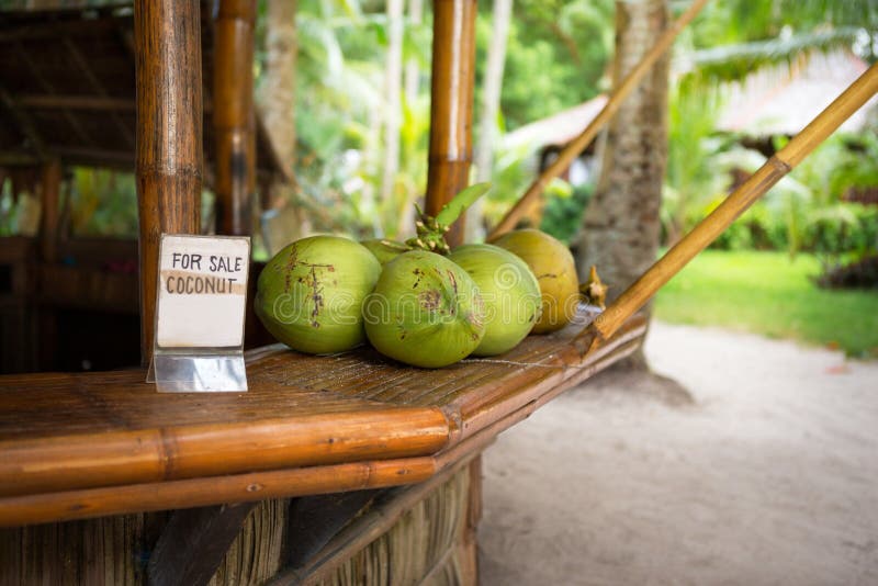 Verkoop Van Verse Groene Kokosnoten Stock Afbeelding - Image of noten ...