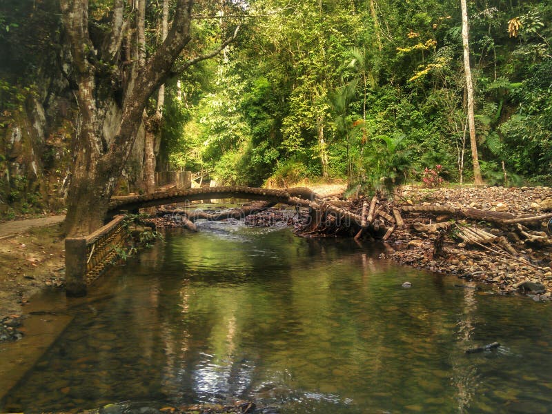 Bukit Wang Recreational Forest in Jitra, Kedah, Malaysia Stockbild ...