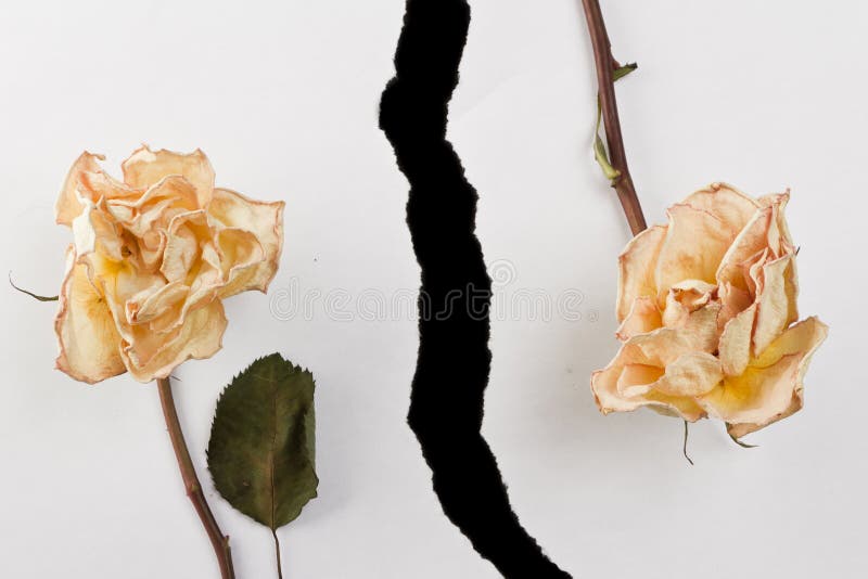 Verlaten Gebroken Verhouding Stock Foto - Image of misbruikt, gebroken ...