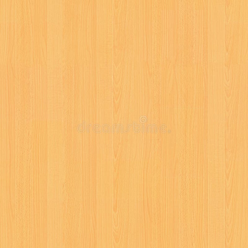 Textura Natural Do Fundo Da Madeira De Faia Foto de Stock - Imagem de ...