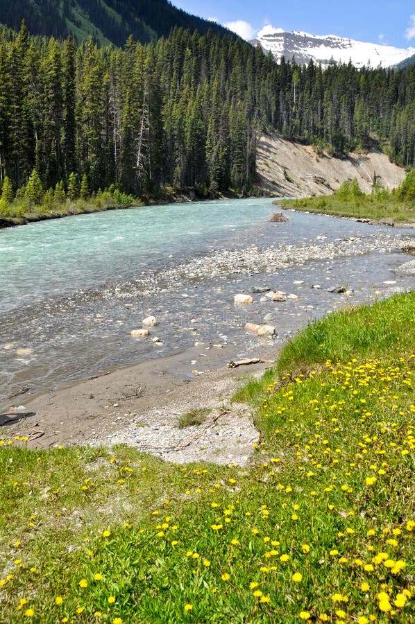 Vermilion River at Kootenay National Park, Canada Stock Photo - Image ...