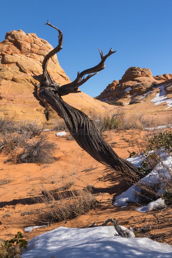 Vermillion Cliffs National Monument Stock Photo - Image of rock, rugged ...