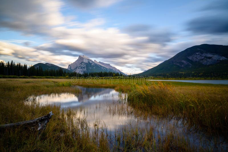 Mount Rundle in Sunset Light Stock Photo - Image of mountain, grass ...
