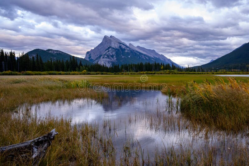 Mount Rundle in Sunset Light Stock Photo - Image of rocks, meadow ...