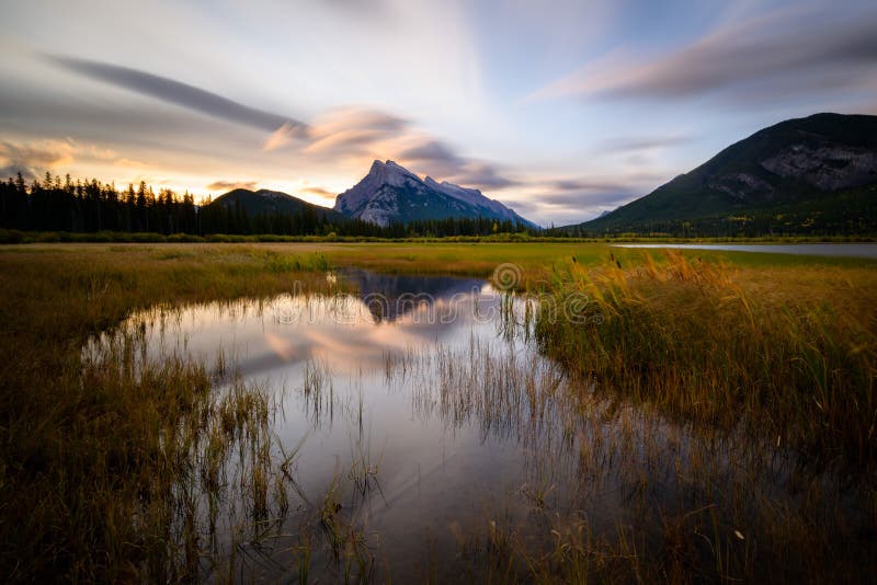 Mount Rundle in Sunset Light Stock Photo - Image of morning, tree ...
