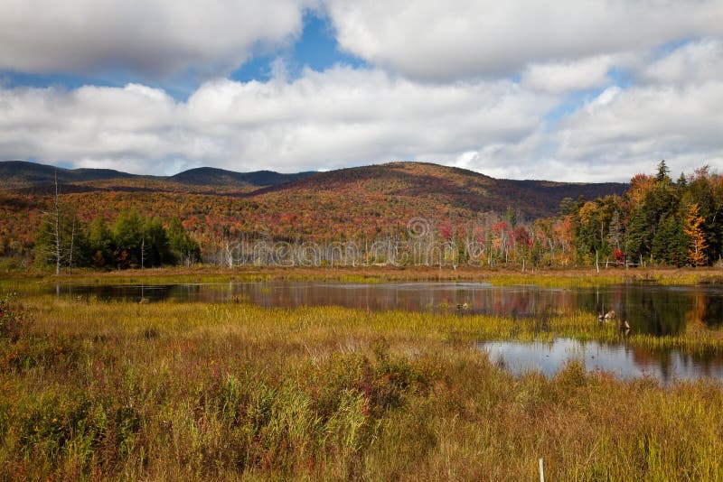 Vermont Fall Foliage stock photo. Image of scenic, autumn - 11347504