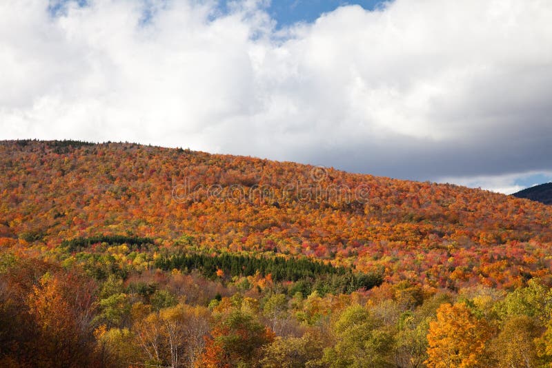 Vermont Fall Foliage stock photo. Image of outdoor, hillside - 11373268