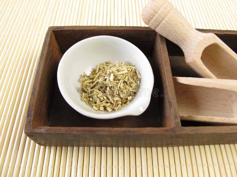 Vermouth, Absinthii herba stock image. Image of plant - 22856101