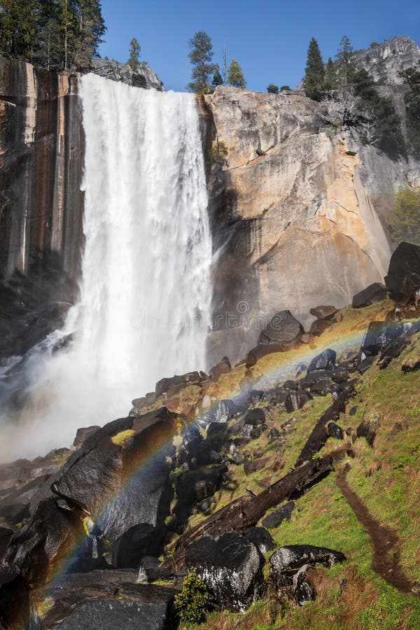 Vernall Stock Photos - Free & Royalty-Free Stock Photos from Dreamstime