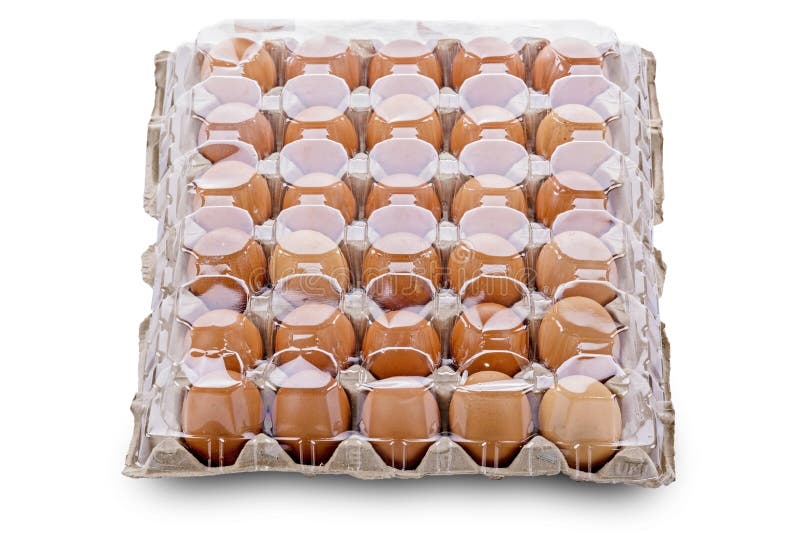 10 Eier in der Verpackung stockbild. Bild von verpackung - 11247909