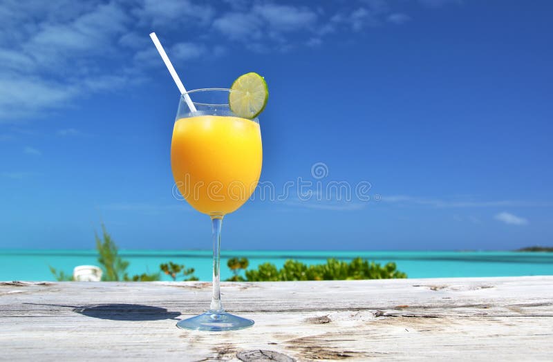 Verre de jus d'orange image stock. Image du vacances - 31828919