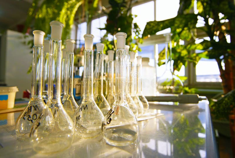 Flacons Chimiques - Verrerie De Laboratoire Image stock - Image du ...