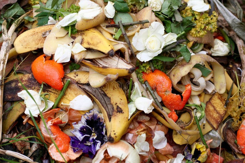 Vers bio-afval stock foto. Image of nave, recycleer, groen - 69465776