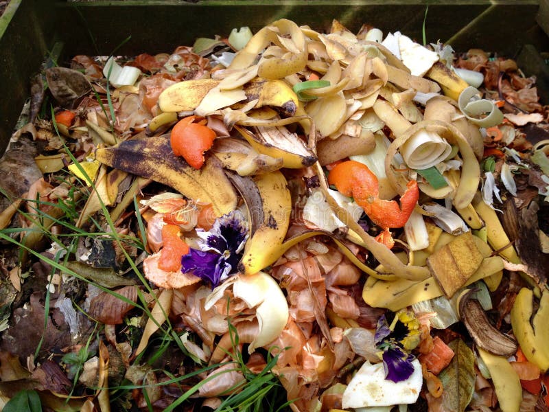 Vers bio-afval en compost stock foto. Image of recycling - 74341574