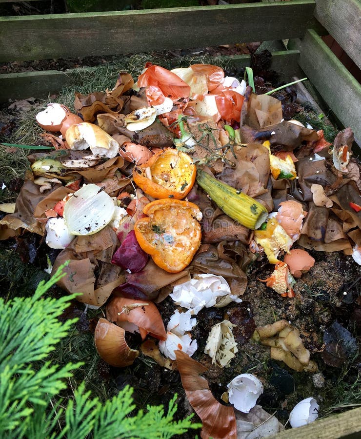 Vers bio-afval stock foto. Image of nave, recycleer, groen - 69465776