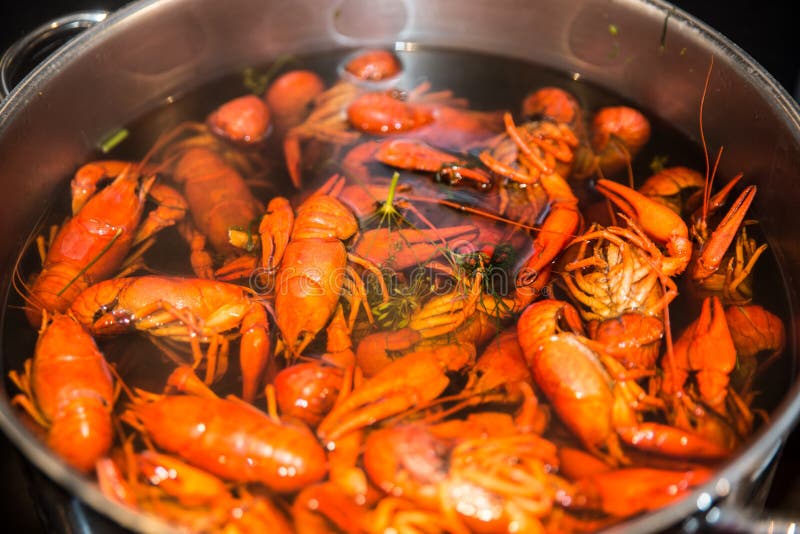 Zoet Gekookte Linzen Soep Met Groenten En Spinazie in Een Kom Op Tafel ...