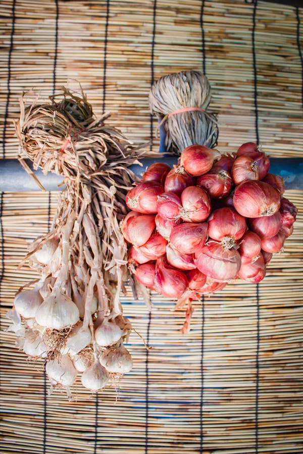 Vers Organisch Rood Sjalotui En Knoflook Stock Foto - Image of ...