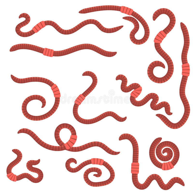 Renard mignon illustration de vecteur. Illustration du mascotte - 21820238