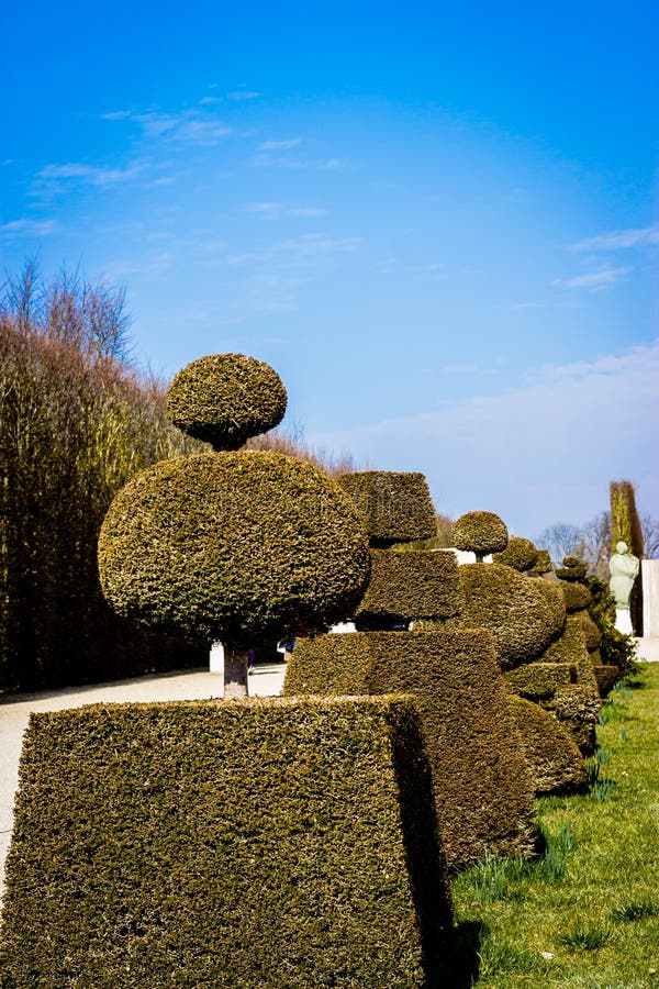 Versailles garden stock image. Image of garden, green - 51327111