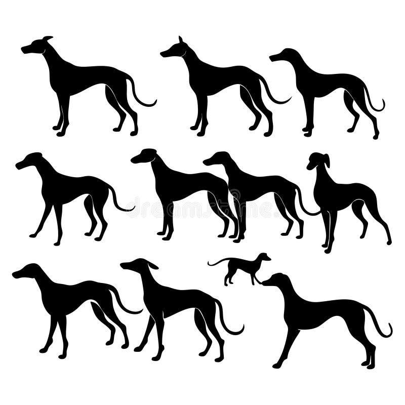 Dog Silhouettes Vector Illustration – Elegant and Versatile Canine ...