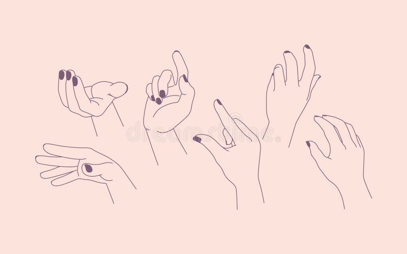 Set of Female Hands with Different Gestures. Vector Illustration in ...