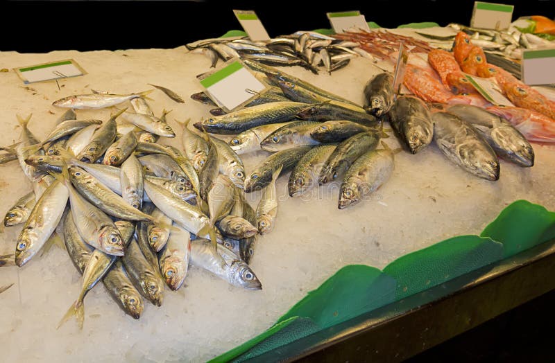 Verscheidenheid Van Verse Vissen in De Markt Stock Foto - Image of ...