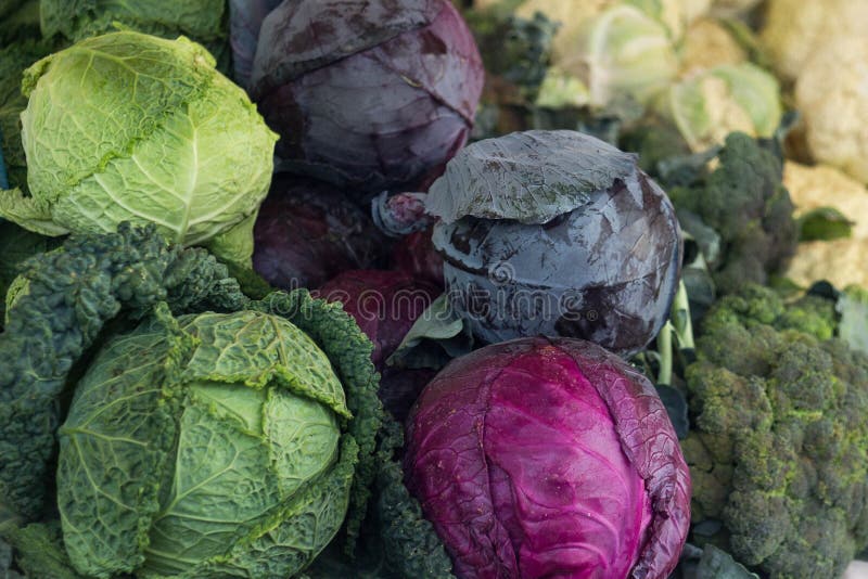 Verschiedene Arten Von Echtem Organischem Kohl Auf Dem Markt Stockbild ...