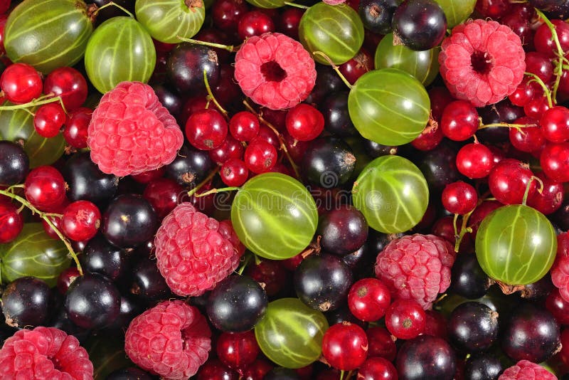 Verschiedene Arten Von Frischen Beeren Als Hintergrund Stockbild - Bild ...