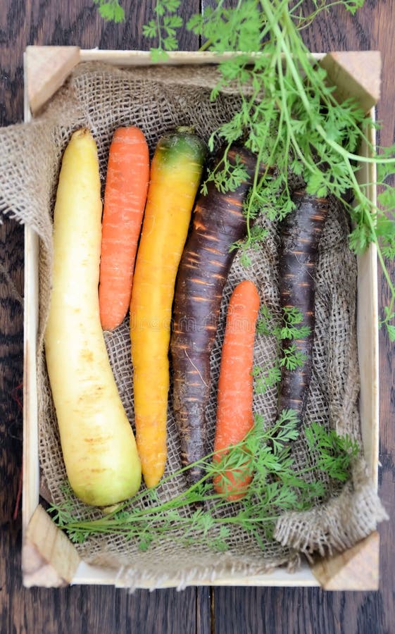 Verschiedene Arten Von Karotten Stockfoto - Bild von essen, frische ...