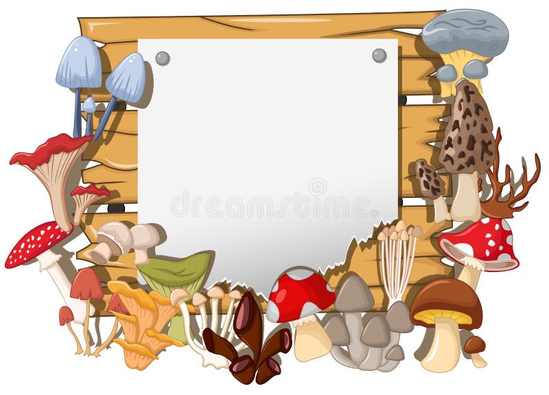 Verschiedene Arten Von Pilzen Mit Schwarzem Zeichen Stock Abbildung ...