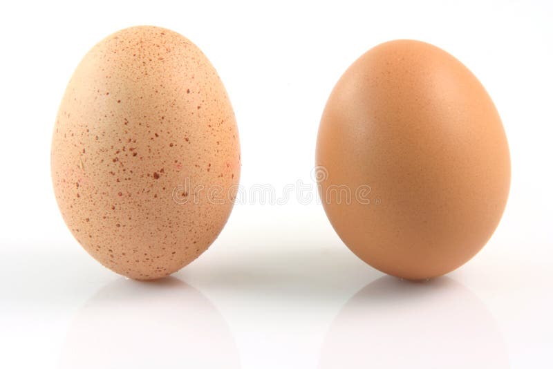 Verschiedene Eier stockfoto. Bild von frech, gesund, diät - 4085362