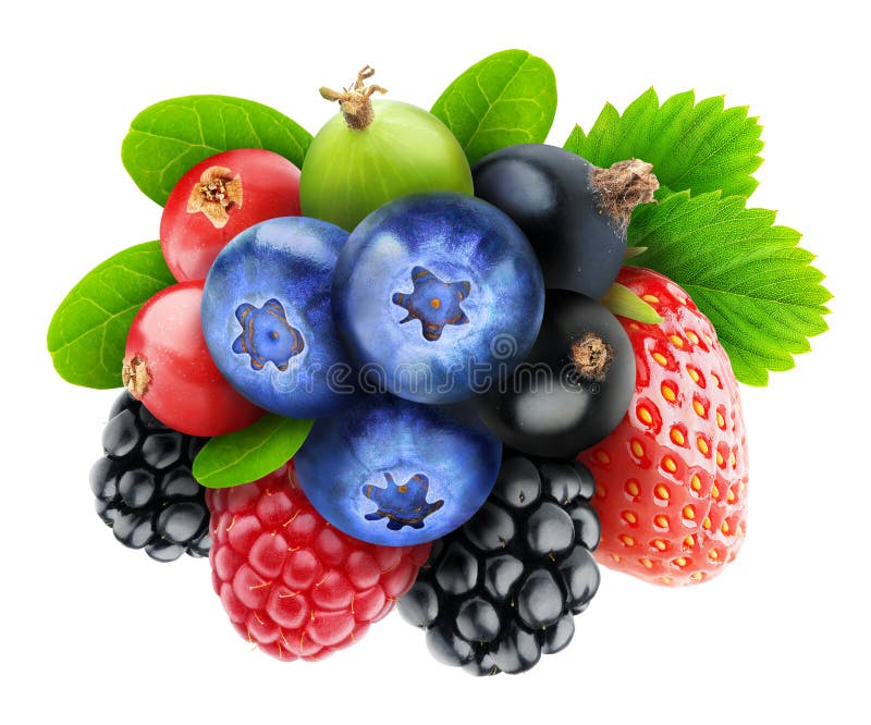 Isolierte Beeren Mit Minzblatt Stockfoto - Bild von einstellen ...
