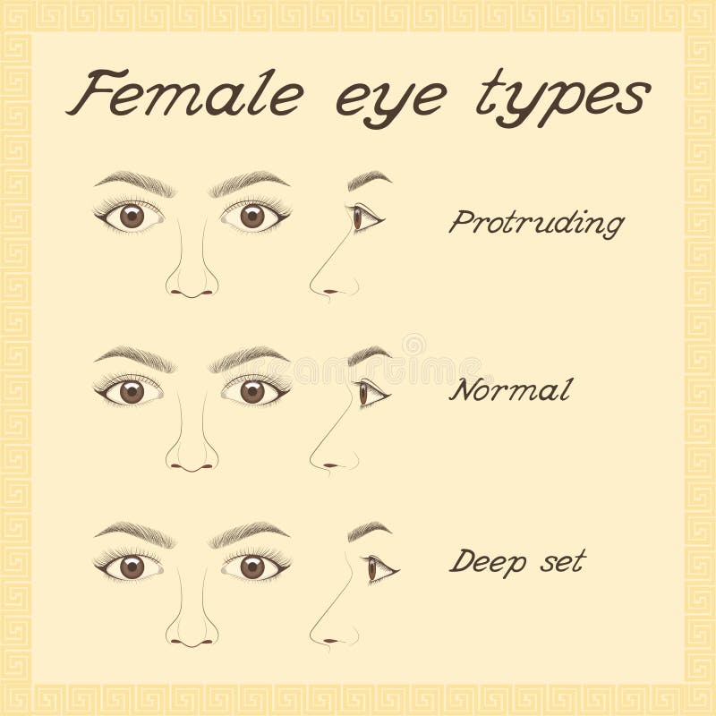 Verschiedene Arten Von Augenbrauen Vektor Abbildung - Illustration von ...