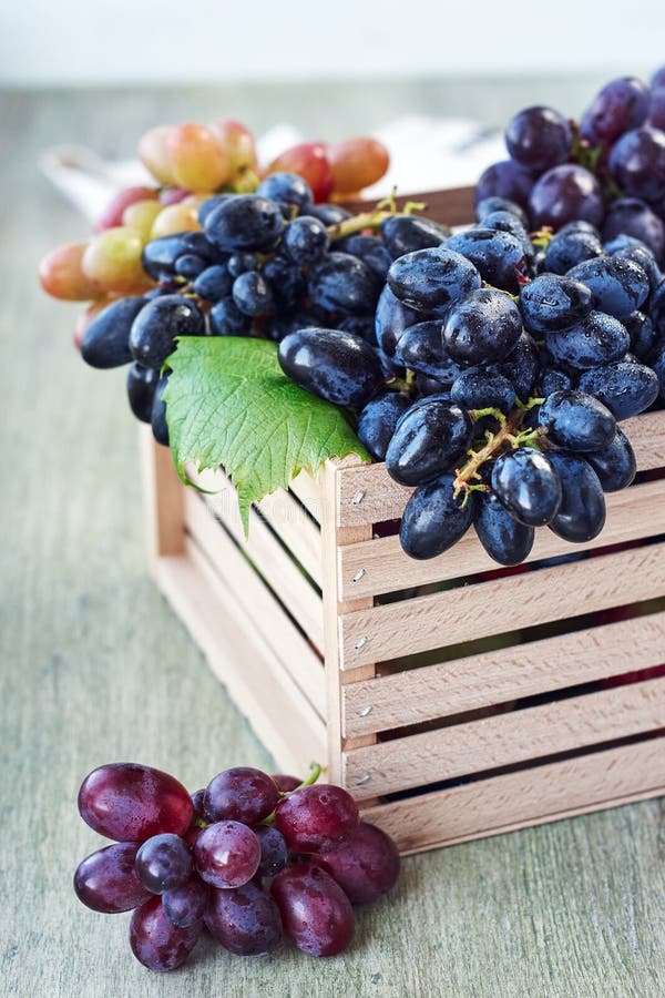 Verschiedenen Sorten Von Trauben Stockfoto - Bild von nahrung ...