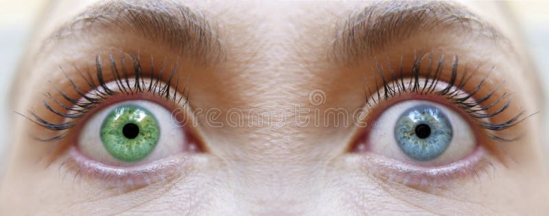 Verschillende Oogkleuren, Blauwe En Groene Ogen Stock Afbeelding ...