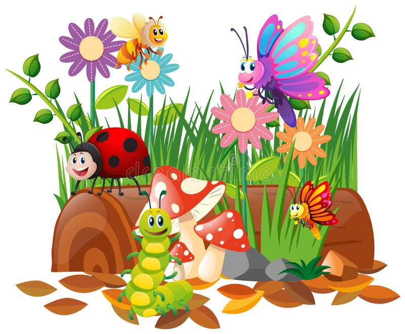 Verschillende Soorten Insecten in Tuin Vector Illustratie ...