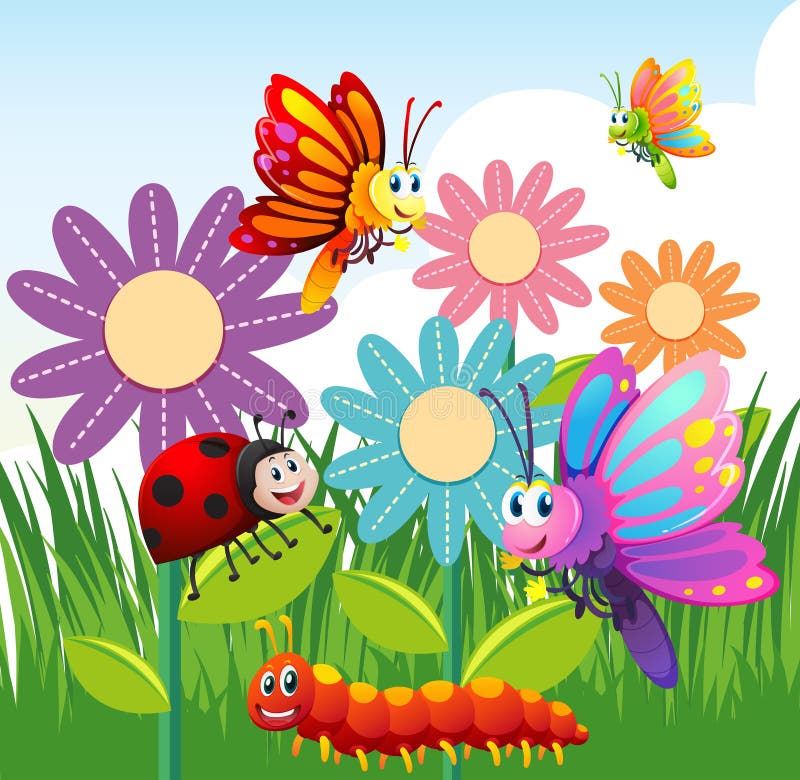 Verschillende Soorten Insecten in Tuin Vector Illustratie ...