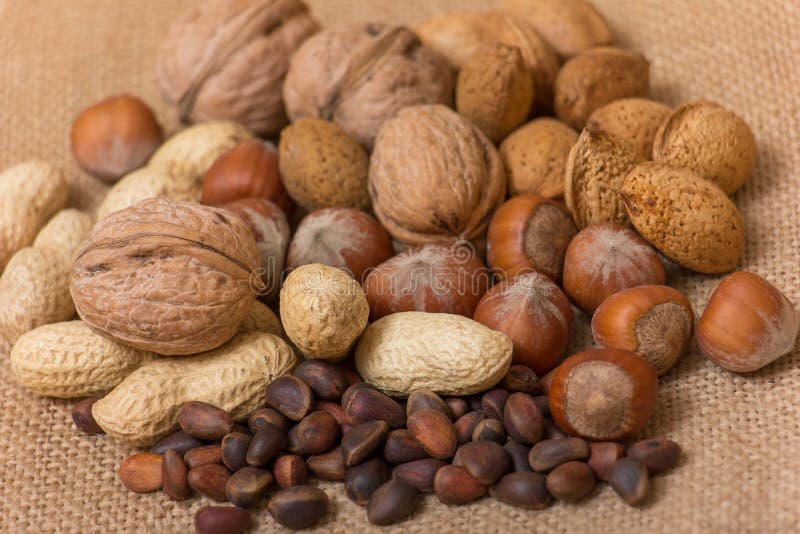 Verschillende Soorten Noten Stock Foto - Image of snack, schelp: 57589450