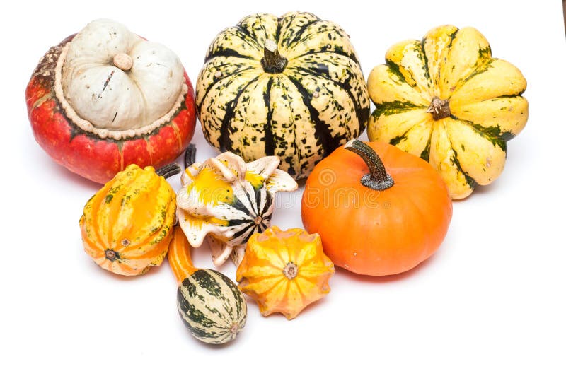 Verschillende Soorten Pompoenen Stock Afbeelding - Image of najaar ...