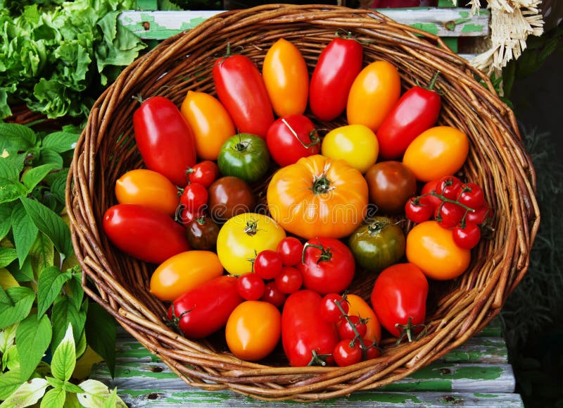 Verschillende Soorten Verse Tomaten Stock Foto - Afbeelding bestaande ...