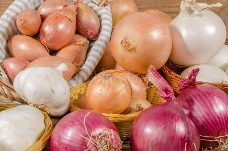 Verschillende Soorten Uien, Knoflook En Sjalotten Stock Foto - Image of ...